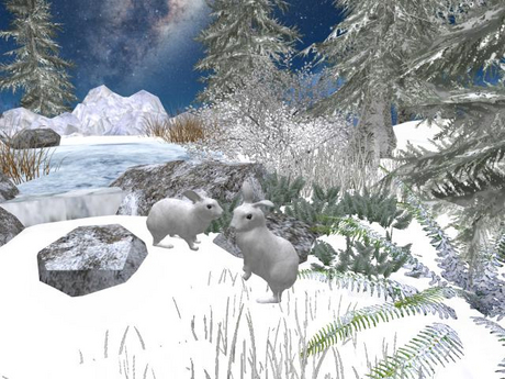Second Life Marketplace - RW - Snowy icy winter pond pines with (and ...