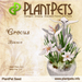 Second Life Marketplace - PlantPet Seed [Crocus *Bianco*]
