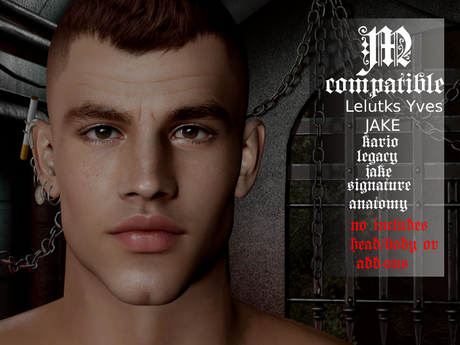 Second Life Marketplace - OSSIAN SHAPE FOR YVES HEAD LEGACY KARIO DAVID ...