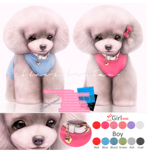 Second Life Marketplace - *[Black Bantam] My Dear Button Toy Poodle Boy ...