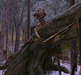 Second Life Marketplace - [R2] Winter Sylvan Ranger 2023