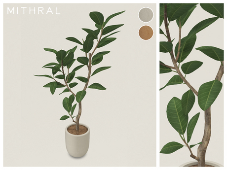 Second Life Marketplace - Mithral * Ficus Drupacea (Pack A)