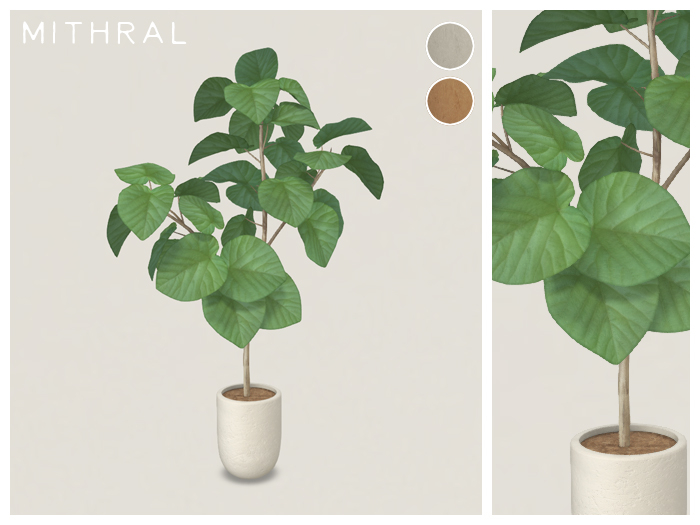 Second Life Marketplace - Mithral * Small Ficus Umbellata (Pack A)