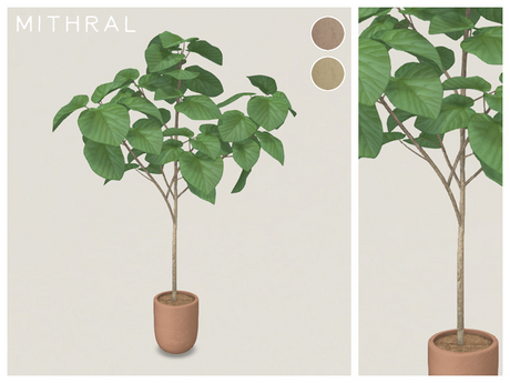 Second Life Marketplace - Mithral * Ficus Umbellata (Pack B)
