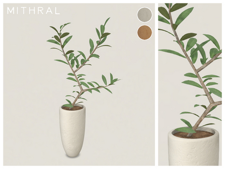 Second Life Marketplace - Mithral * Small Young Olive Tree (Pack A)