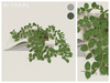 Second Life Marketplace - Mithral * Hoya Chelsea Book Planter Fat Pack