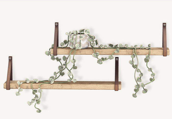 Second Life Marketplace - Dahlia - Raven - String of Hearts Shelf