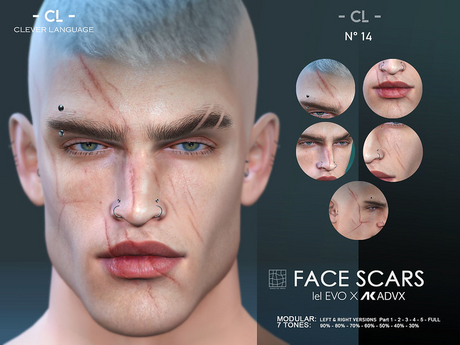 Second Life Marketplace - -[CL]- Face Scar #014 - (EVO X)