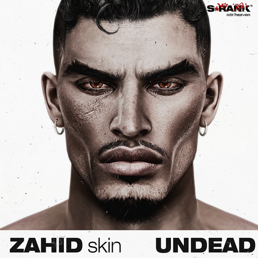 Second Life Marketplace - S-RANK "ZAHID" SKIN / UNDEAD TONE
