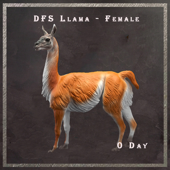 Second Life Marketplace - DFS Llama - Female