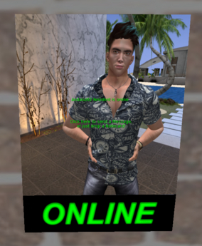 Second Life Marketplace - ONLINE BOARD