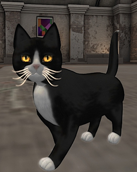 Second Life Marketplace - 9T Chateau Cat - Black & White #3 Female Kitten