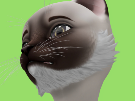 Second Life Marketplace - Katy BOM Beard