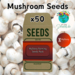 Second Life Marketplace - MyStory Mushroom Seeds X 50