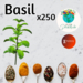 Second Life Marketplace - MyStory Basil x 250
