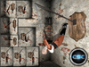 Second Life Marketplace - CSC - Slave Display - 08 - RLV Version - Box