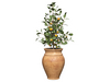 Second Life Marketplace - Nutmeg. Potted Tangerine Tree