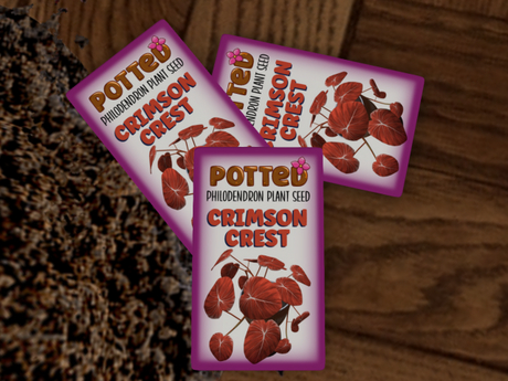 Second Life Marketplace - Potted: Philodendron Plant Seed: Crimson Crest