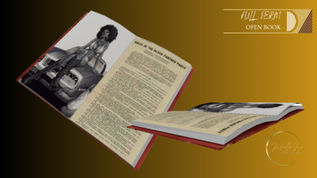 Second Life Marketplace - Book Full Perm Mesh