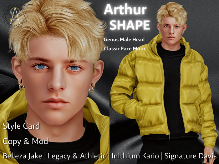 Second Life Marketplace - A.S_Store - Arthur Shape for Genus Male Head ...