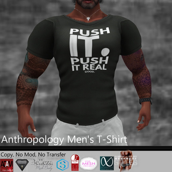 Second Life Marketplace - Push it real good! Men's T-Shirt (MTT)