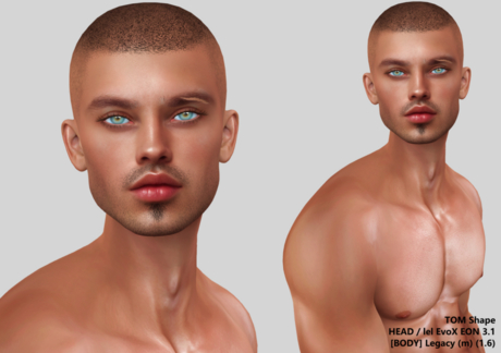 Second Life Marketplace - TOM Shape / Lel EvoX EON / Legacy