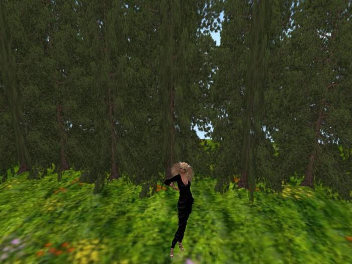Second Life Marketplace - Hinoki False Cypress: 30m Tree Screen (One of ...