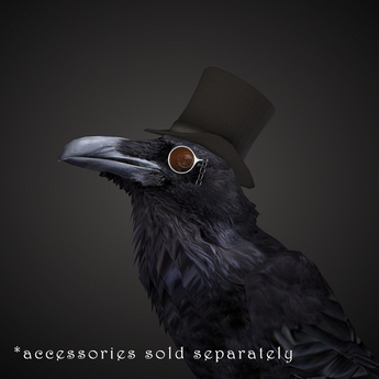 Second Life Marketplace - CKF RavenGear Monocles (Black/White/Disguise ...