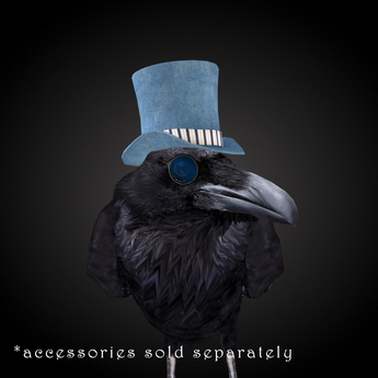Second Life Marketplace - CKF RavenGear Monocles (Black/White/Disguise ...