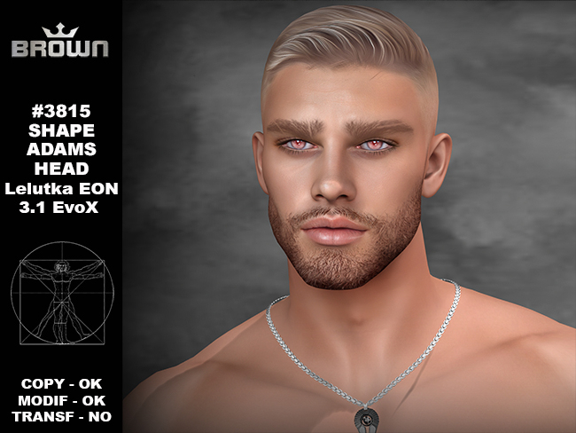 Second Life Marketplace - 3815 SHAPE Adams HEAD Lelutka EON 3.1 EvoX