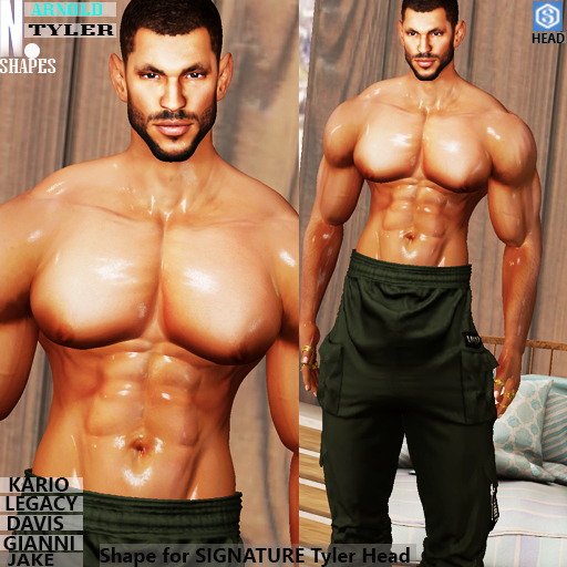 Second Life Marketplace - [NS]..Arnold.{SIGNATURE -TYLER HEAD}.Kario ...