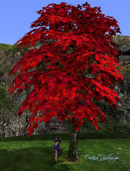 Second Life Marketplace - DEMO~ Breezy red hot Tree 2LI