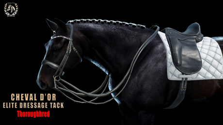 Second Life Marketplace - Cheval D'or / Teeglepet Thoroughbred / Elite ...
