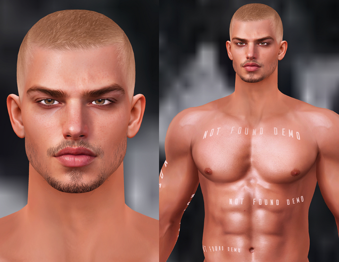 Second Life Marketplace - {Anne} Xavier Shape ( Lelutka Kris EVOX )