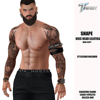 Second Life Marketplace - -- T. TARIK -- Shape MIZAEL [ KRIS Head ...