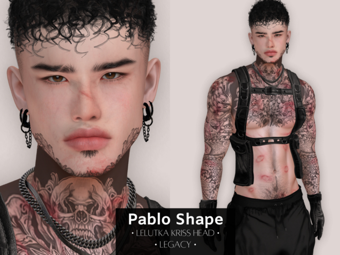 Second Life Marketplace - ⏩ [Stanley] Pablo Shape Kris - Lelutka Kris ...