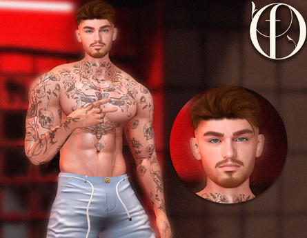 Second Life Marketplace - [OTHER FACES] Victor Shape (LeL EvoX Quinn 3.1)