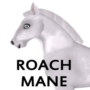 Second Life Marketplace - Amaretto Breedable Bundle beige appaloosa mini 6