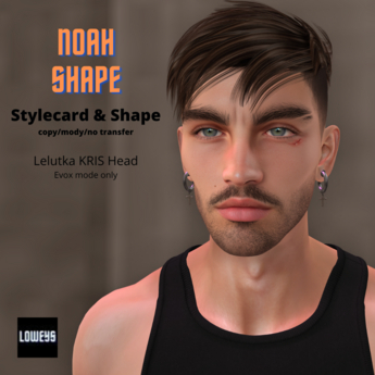 Second Life Marketplace - [Loweys] Noah Shape - Kris Head Evox