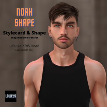 Second Life Marketplace - [Loweys] Noah Shape - Kris Head Evox