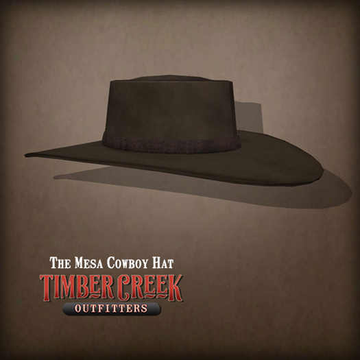 Second Life Marketplace - [Timber Creek] Mesa Cowboy Hat-Earth