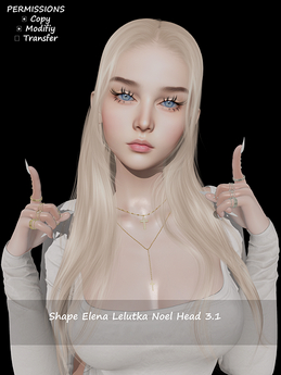 Second Life Marketplace - Shape Elena Lelutka Noel Head 3.1