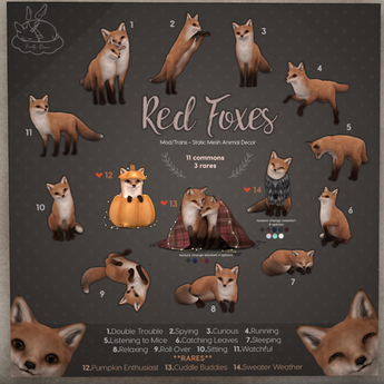 Second Life Marketplace - +Half-Deer+ Red Fox - Roll Over