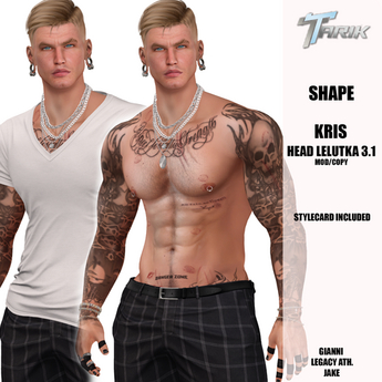 Second Life Marketplace - -- T. TARIK -- Shape NICOLAI [ KRIS Head ...