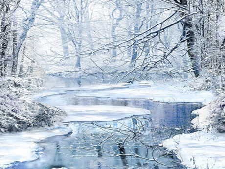 Second Life Marketplace - Winter Brook Texture