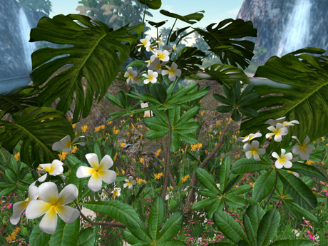 Second Life Marketplace - RW - Tropical rocky flower border *Hiapo* c/m
