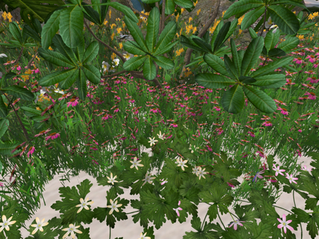 Second Life Marketplace - RW - Tropical rocky flower border *Hiapo* c/m