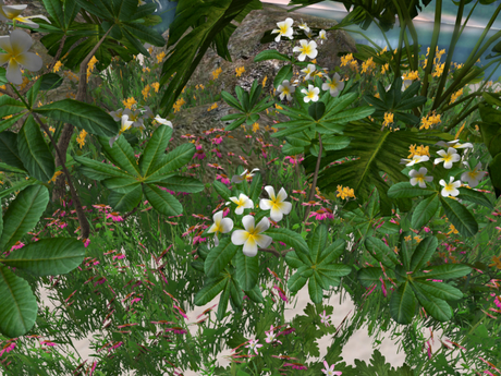 Second Life Marketplace - RW - Tropical rocky flower border *Hiapo* c/m