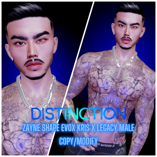 Second Life Marketplace - Distinction: Zayne Shape Lelutka Kris x ...