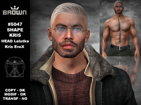 Second Life Marketplace - 5047 SHAPE KRIS HEAD Lelutka Kris EvoX
